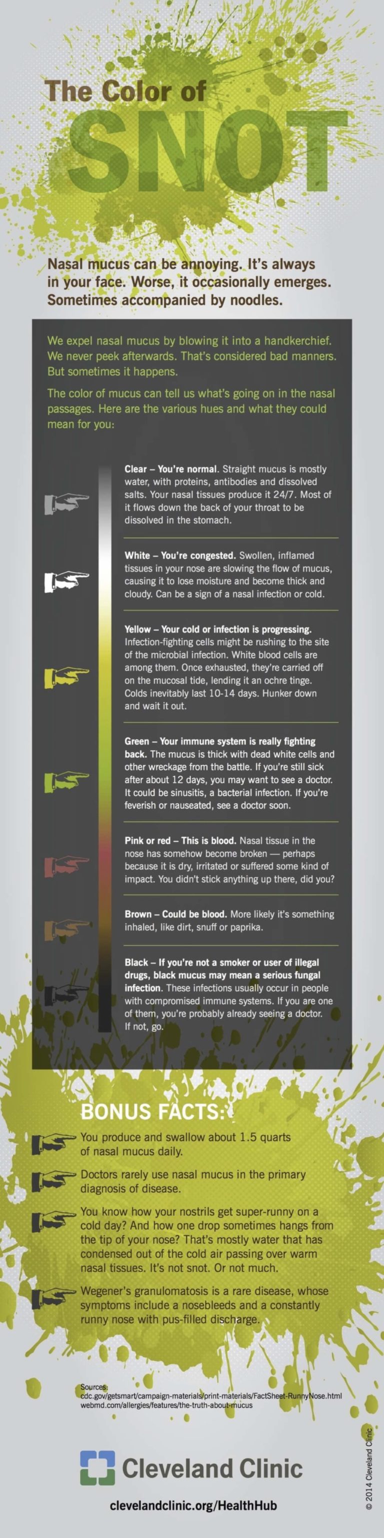 What The Color Of Your Snot Says About Your Health | Ascent Chiropractic